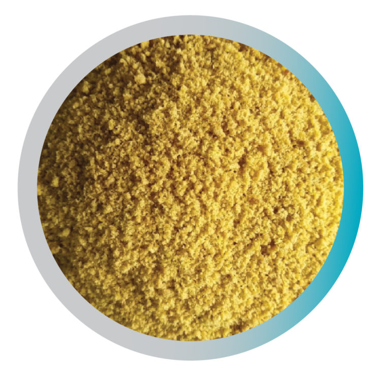 Rapeseed Meal – UNISUN