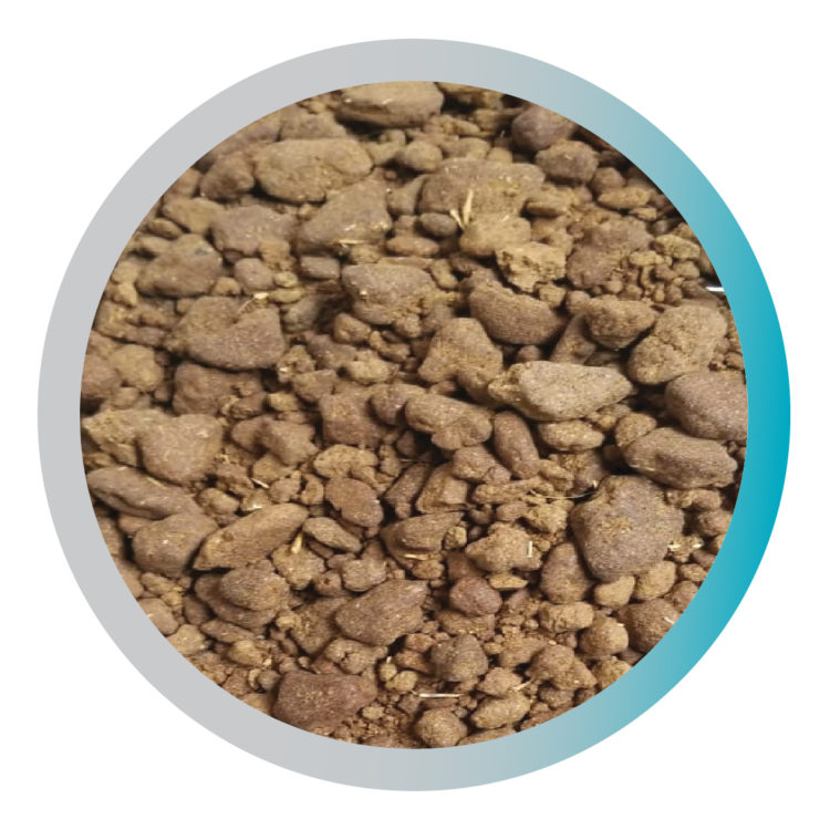 Rapeseed Meal – UNISUN